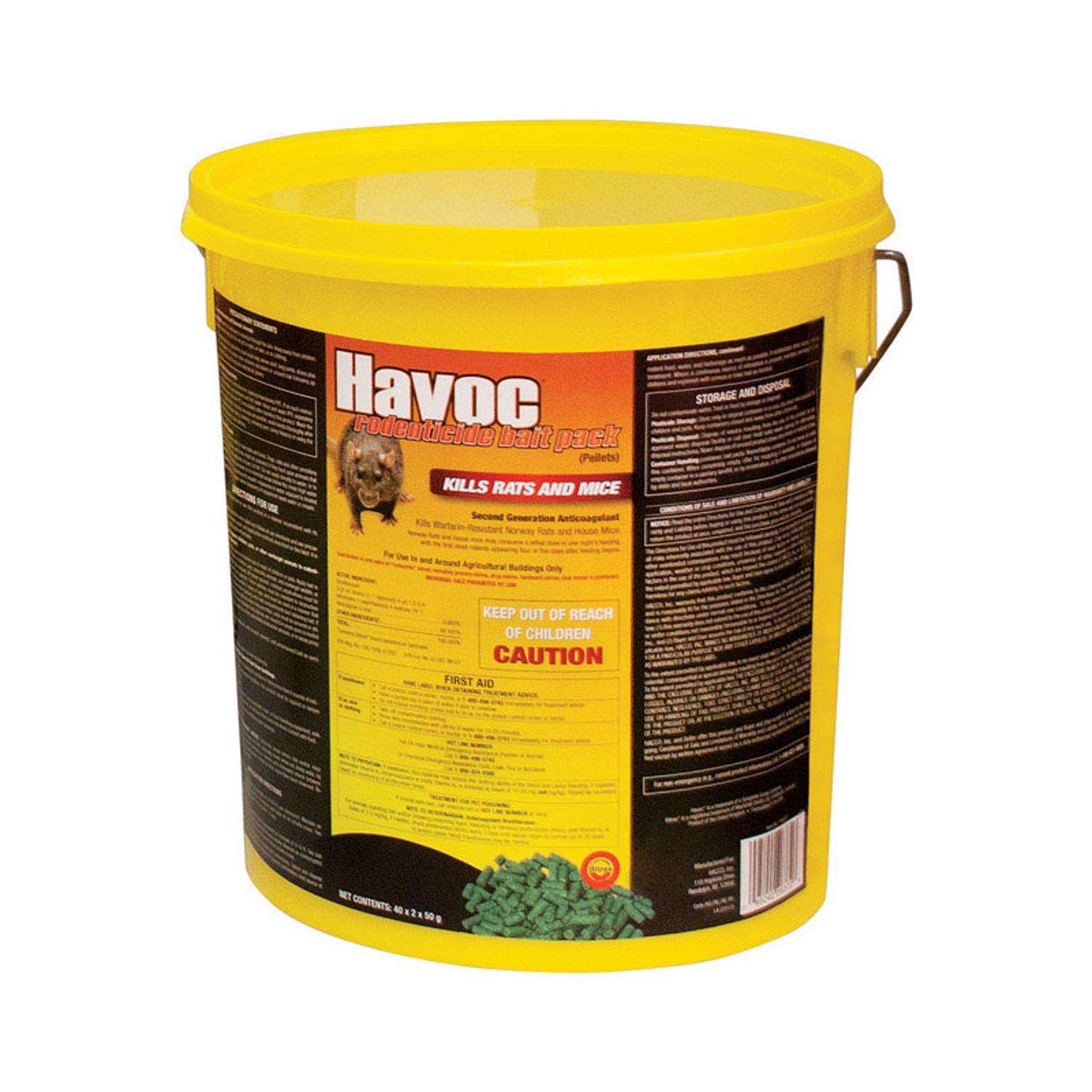 Havoc Bait Pellet Throw Pack For Mice and Rats 8.2 lb 40 pk - Ace Hardware
