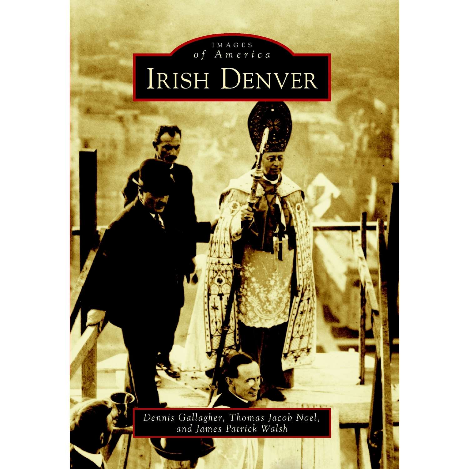 Arcadia Publishing Irish Denver History Book - Ace Hardware