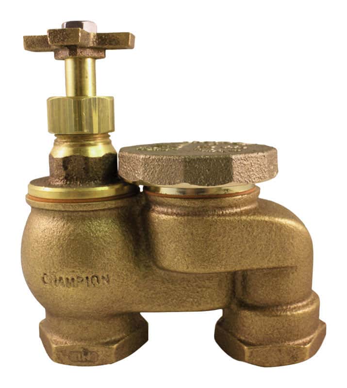 Champion Anti-Siphon Valve 3/4 in. 150 psi - Ace Hardware