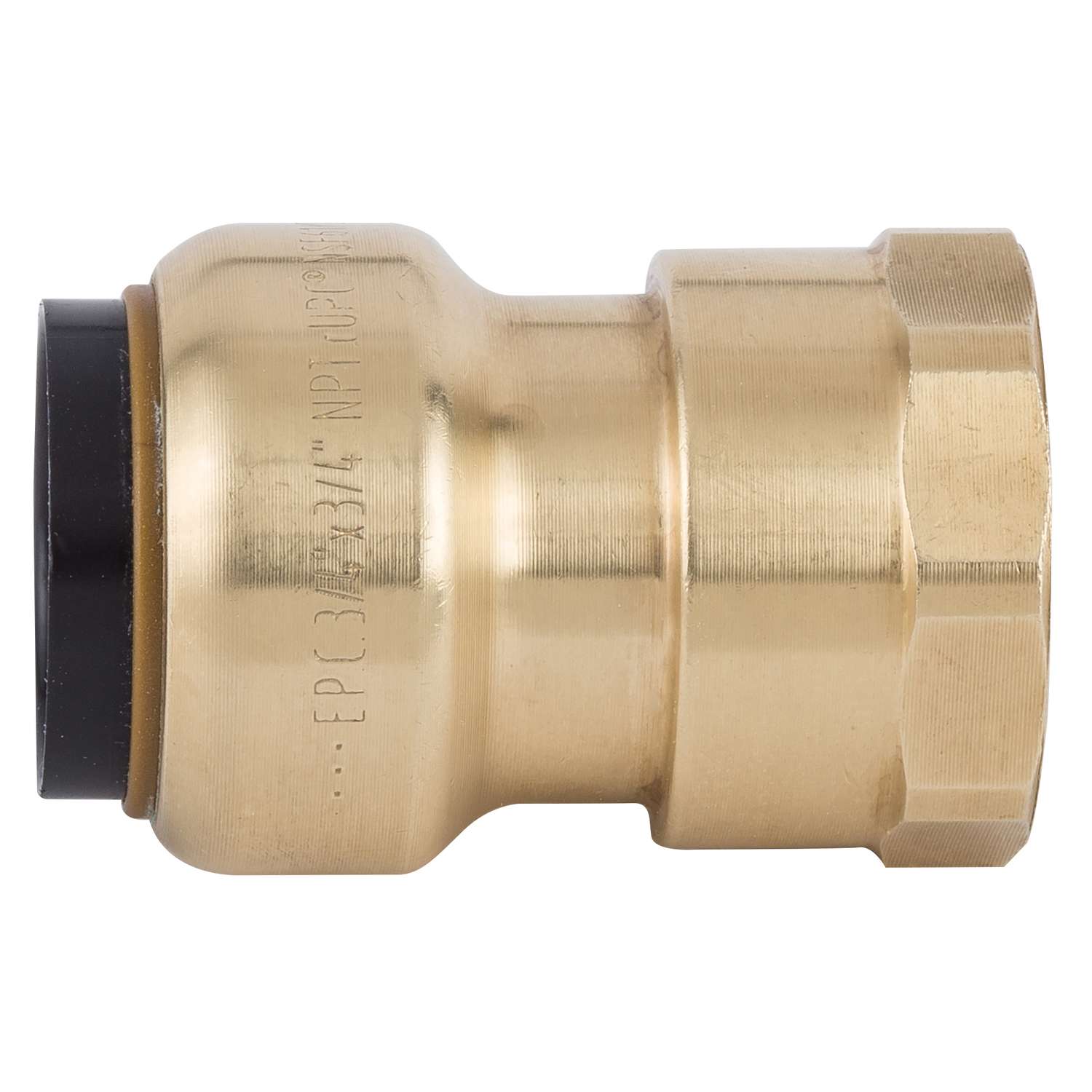 Apollo Tectite Push to Connect 3/4 in. PTC in to X 3/4 in. D FPT Brass Adapter - Ace Hardware