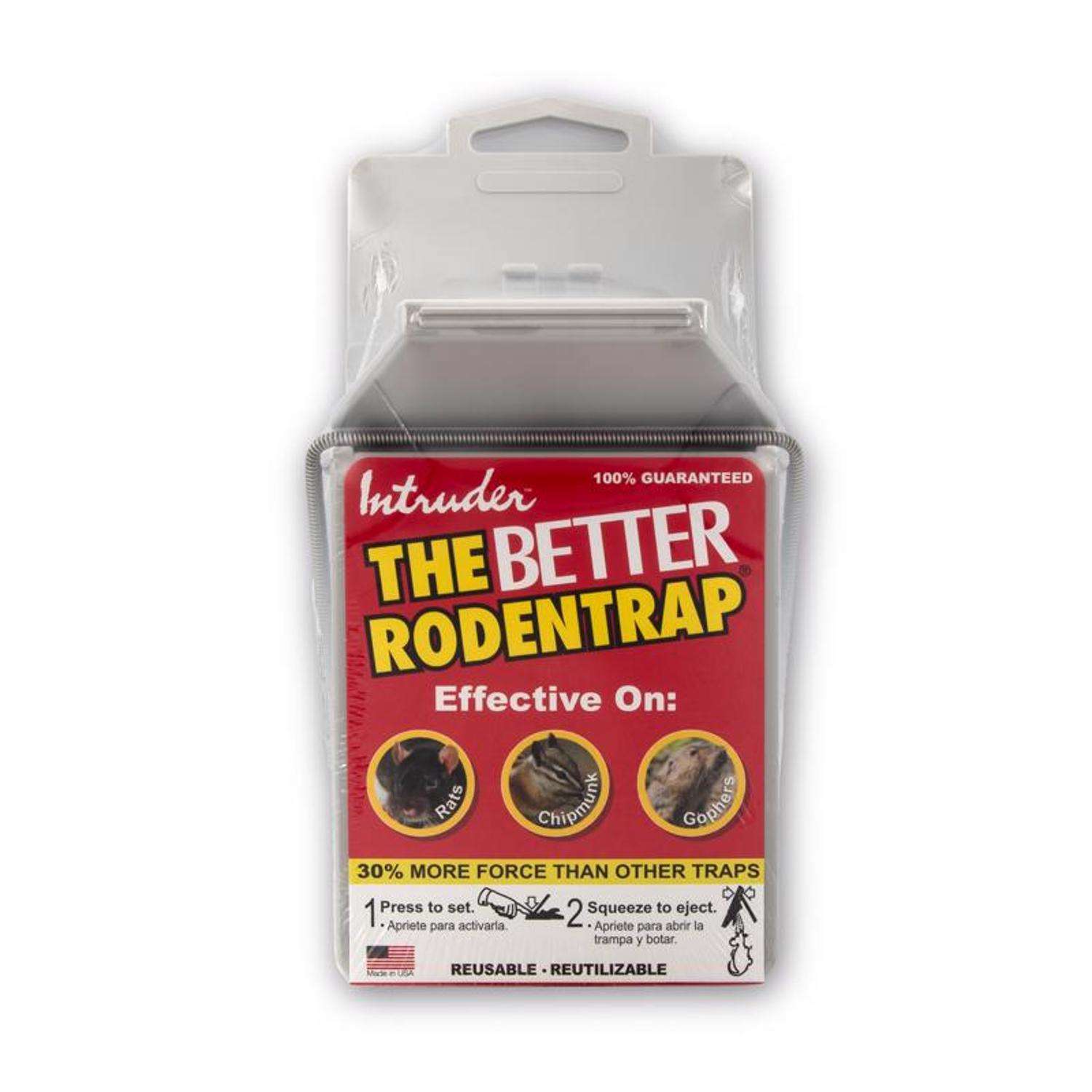 Intruder The Better Rodentrap Large Snap Trap For Rodents 1 pk - Ace ...