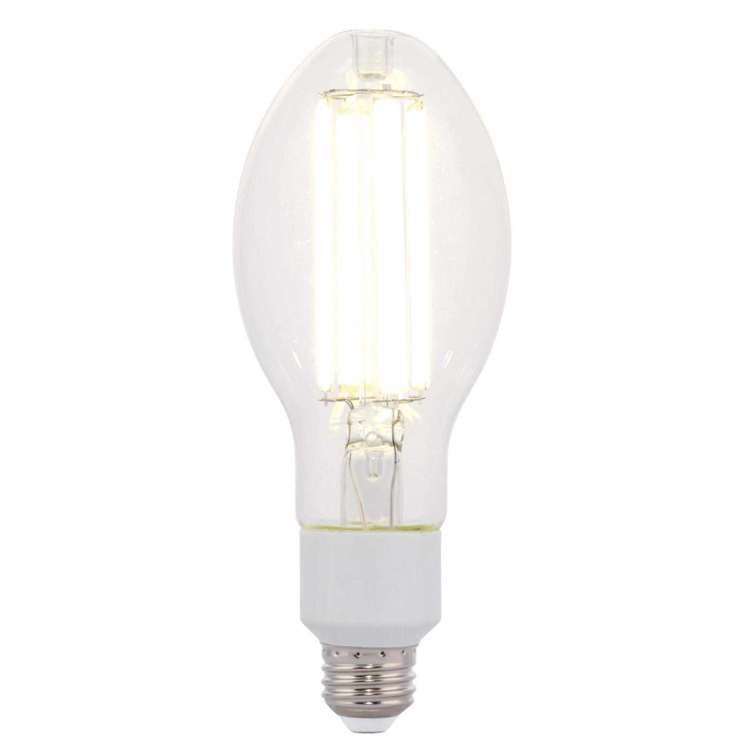 Westinghouse ED23.5 E26 (Medium) Filament LED Bulb Daylight 200 Watt ...