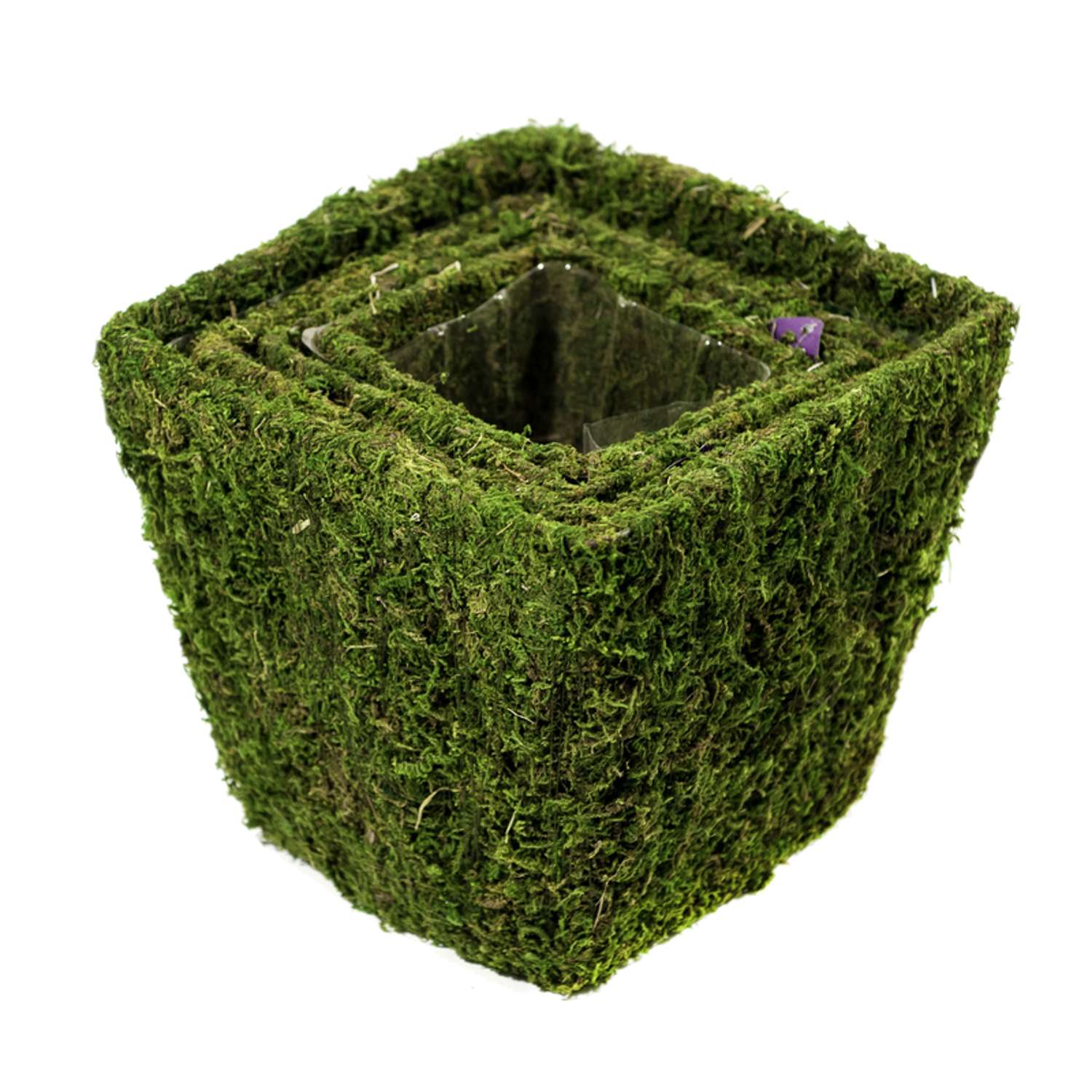 SuperMoss Deco Wire Woodside Planter Set Green - Ace Hardware
