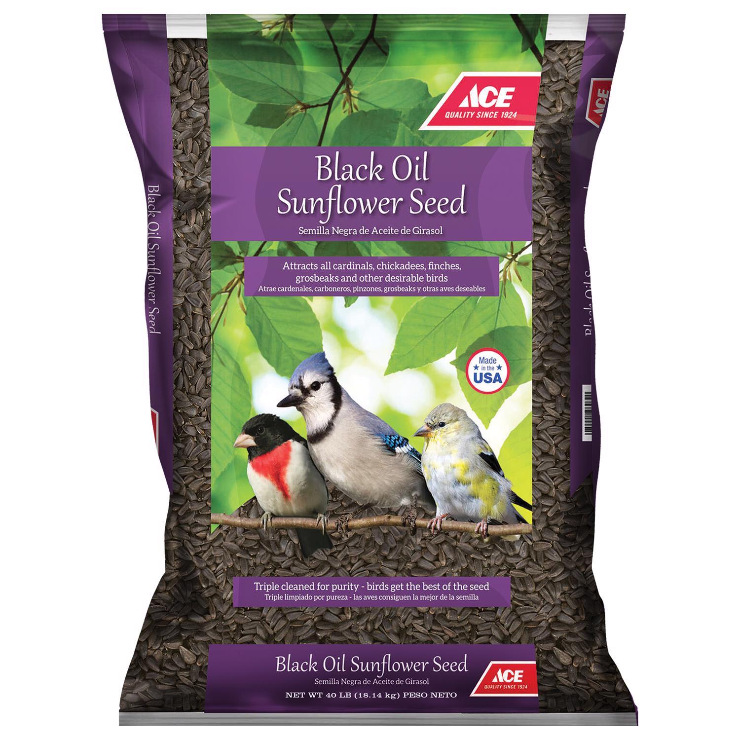 Ace Songbird Black Oil Sunflower Seed Wild Bird Food 40 lb Mfr ...