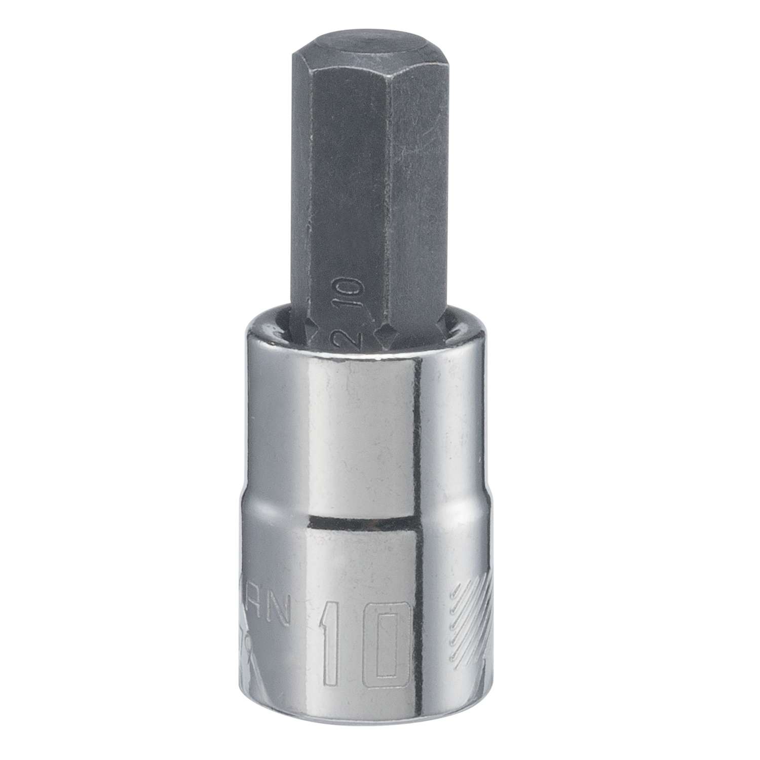 Craftsman 10 mm X 3/8 in. drive Standard Hex Bit Socket 1 pc - Ace Hardware