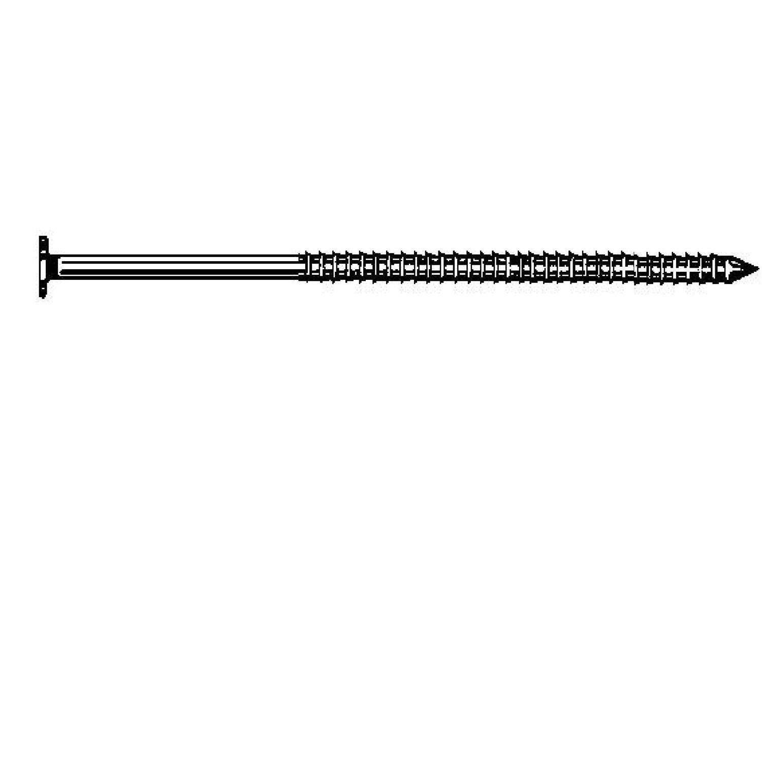 Maze Nails 10D 3 in. Siding Hot-Dipped Galvanized Carbon Steel Nail ...