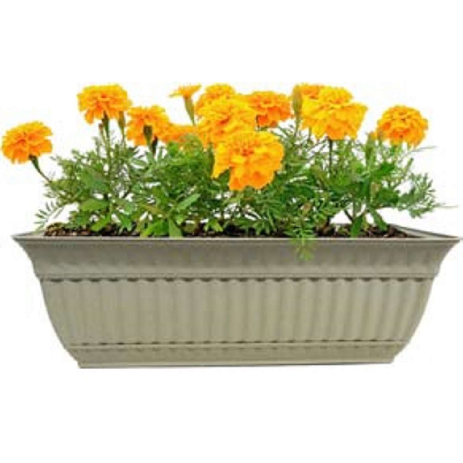 Misco Milano 6.15 in. H X 7.5 in. W Plastic Window Box Stone Mfr ...