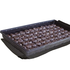 Jiffy Planting Tray 1 pk - Ace Hardware