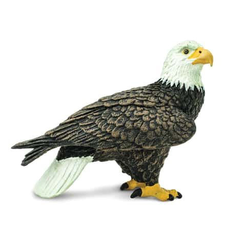 Safari Ltd Wings of the World Birds Bald Eagle Toy Plastic Brown - Ace ...