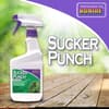 Bonide Sucker Punch Tree Roots Killer RTU Liquid 16 oz - Ace Hardware