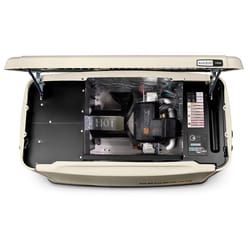 Power Inverters, Gas, Propane & Battery Generators at Ace Hardware