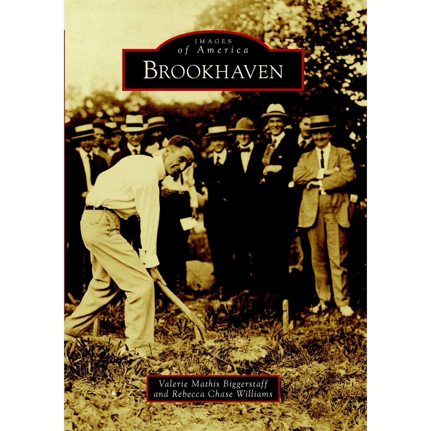 Arcadia Publishing Brookhaven History Book Mfr# 9781467126717 - Ace ...