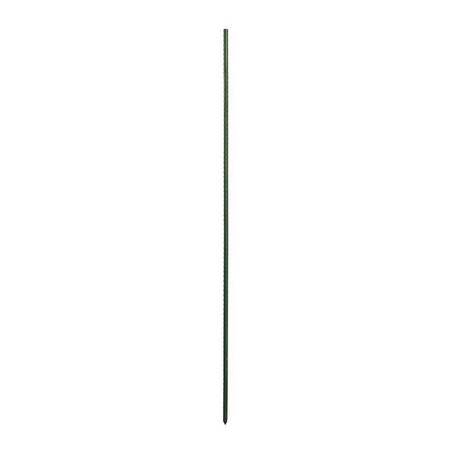 Panacea 72 in. H Green Steel Plant Stake - Ace Hardware