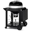 Napoleon 22 in. Charcoal Grill Black - Ace Hardware