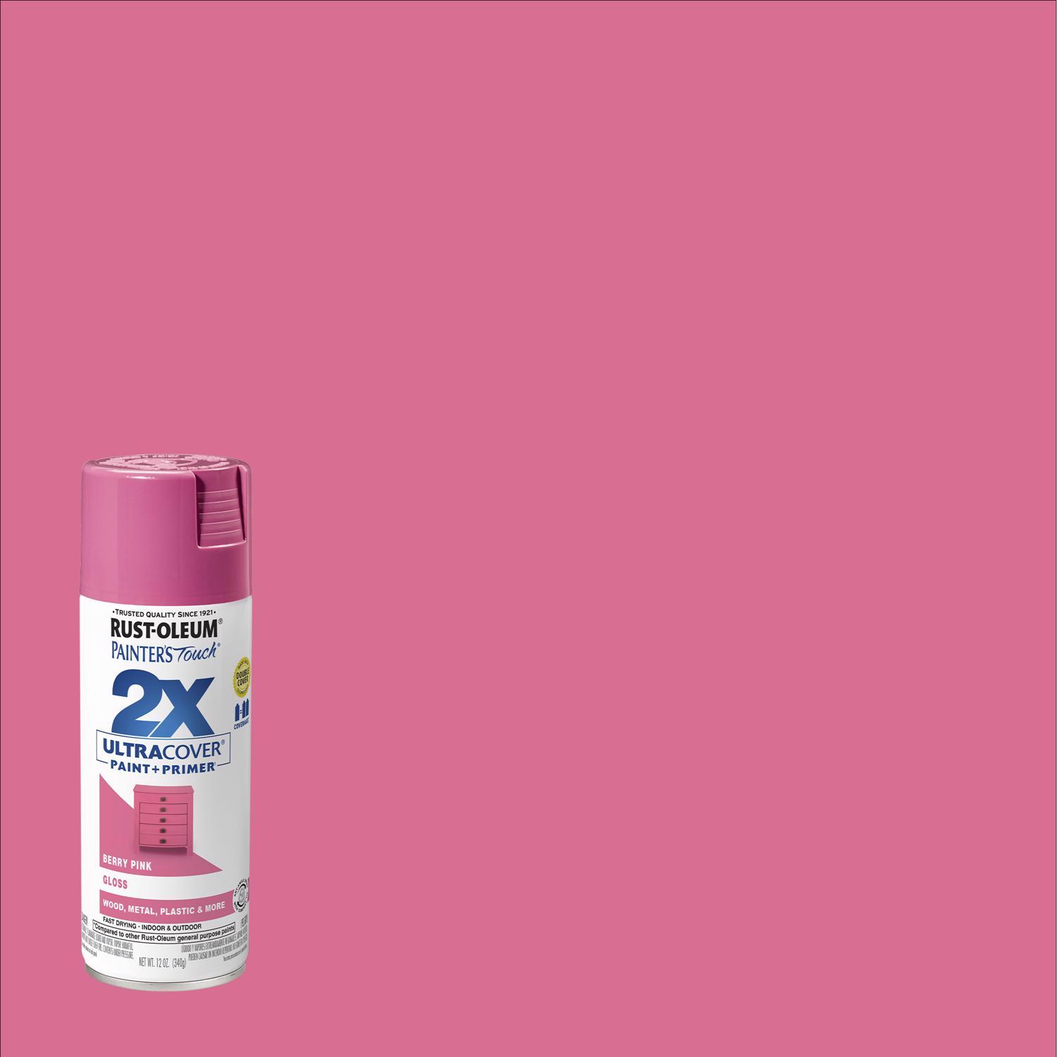 Rust-Oleum Painter's Touch 2X Ultra Cover Gloss Berry Pink Paint+Primer ...