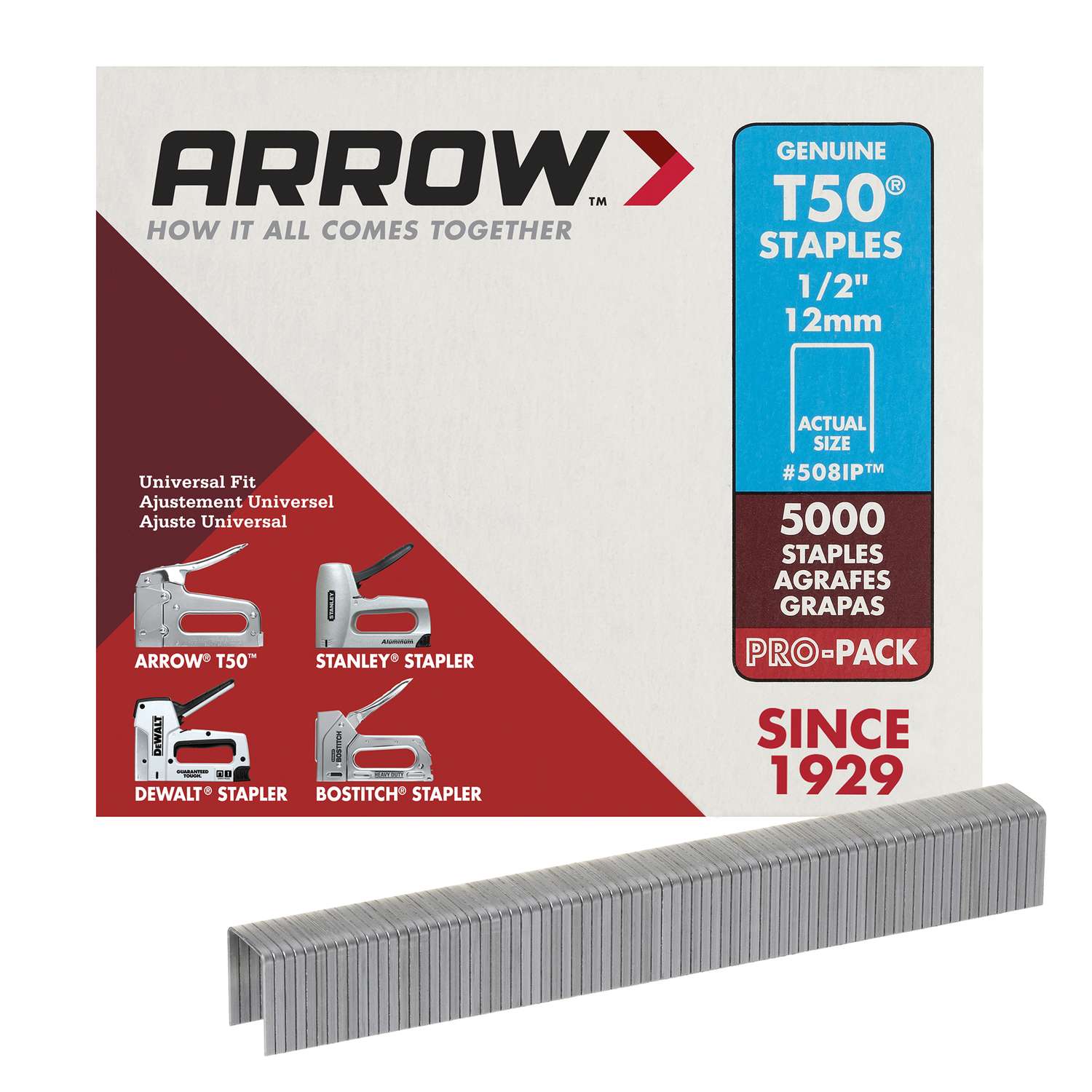 Arrow T50 3/8 in. W X 1/2 in. L 18 Ga. Flat Crown Heavy Duty Staples ...