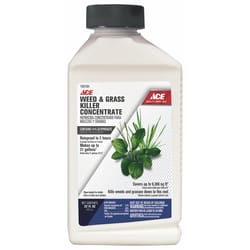 Weed & Grass Killer - Weed Control & Vegetation Killer at Ace Hardware