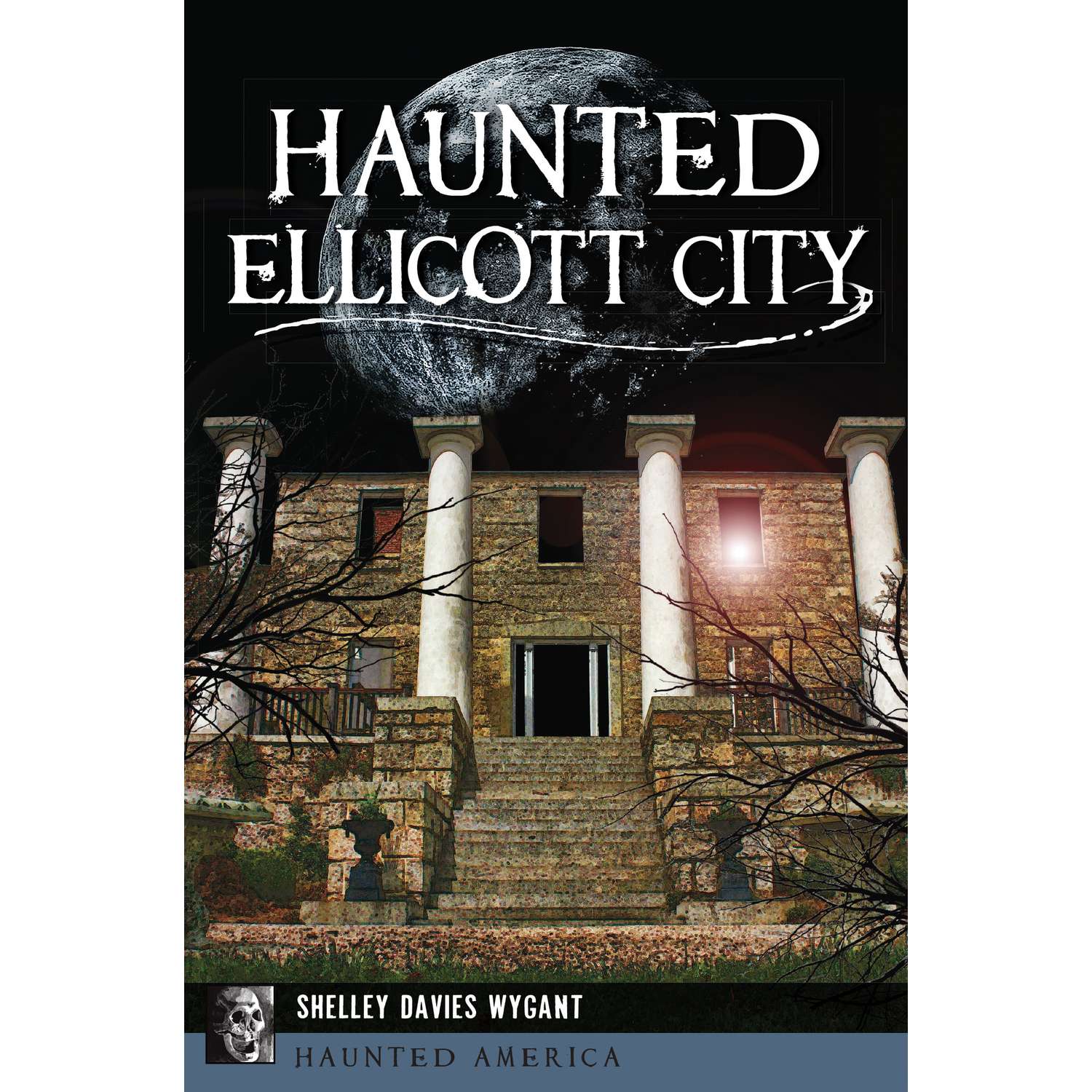 Arcadia Publishing Haunted Ellicott City History Book - Ace Hardware