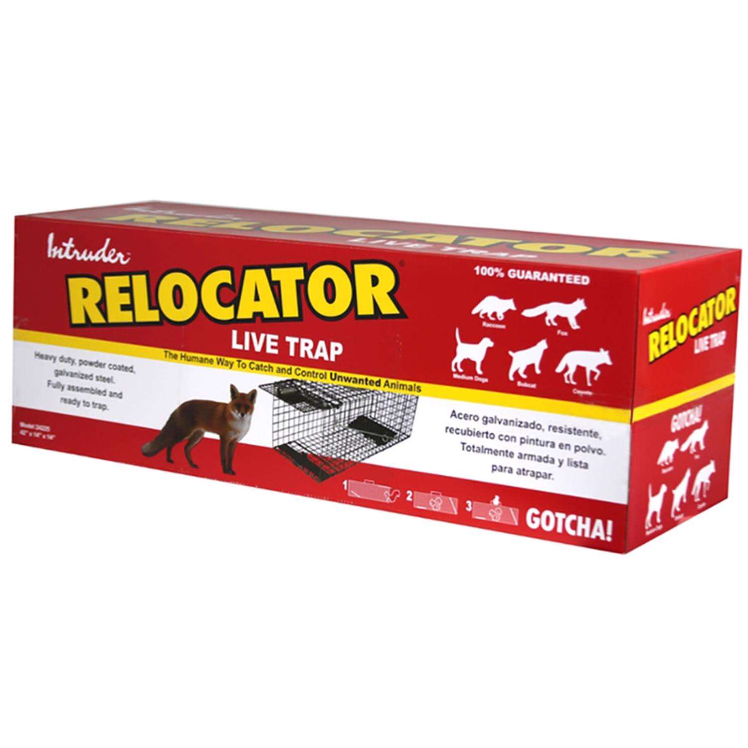Intruder Relocator Extra Large Live Catch Animal Trap For Foxes 1 pk ...