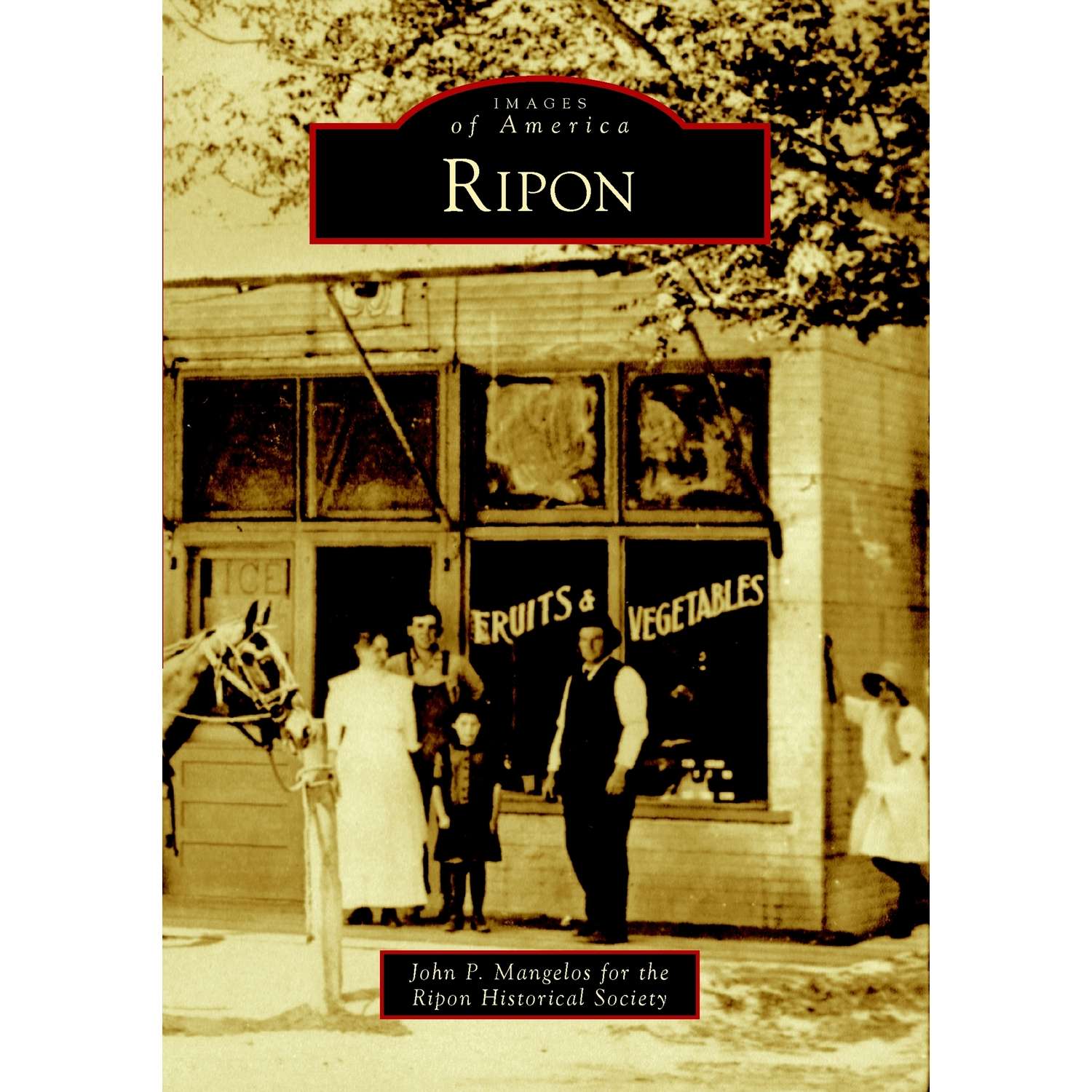 Arcadia Publishing Ripon History Book - Ace Hardware
