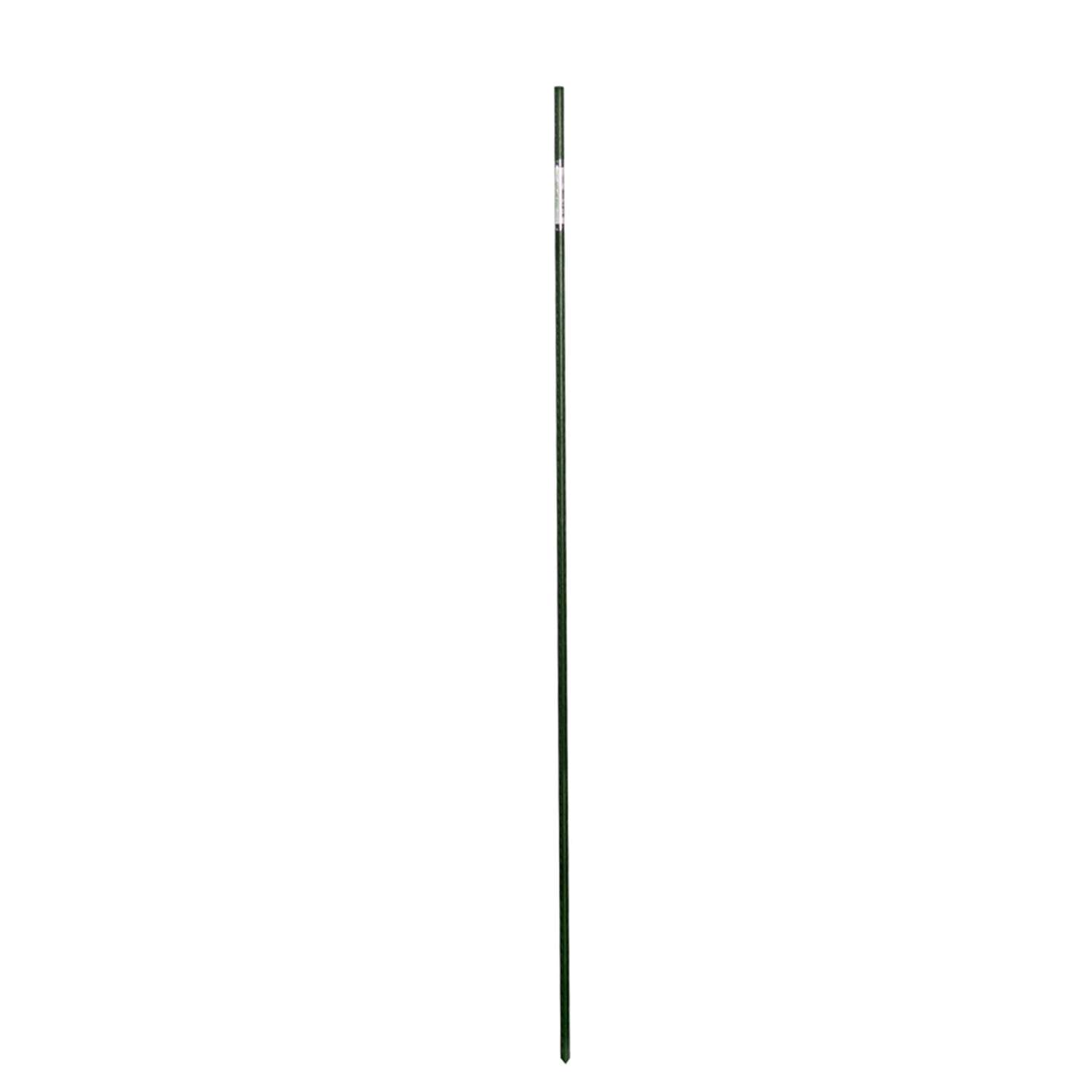 Panacea 48 in. H Green Metal Plant Stake - Ace Hardware