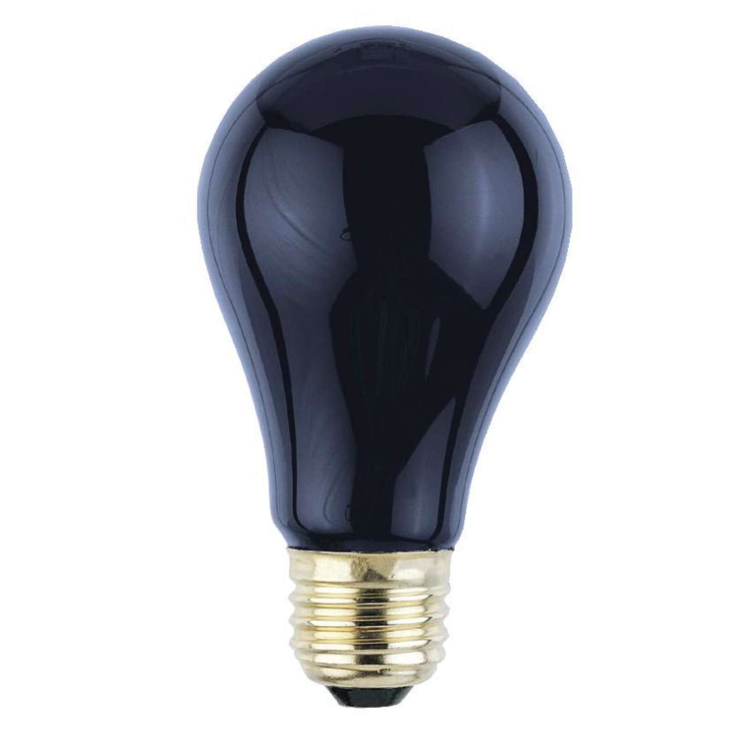 Westinghouse 75 W A19 A-Line Incandescent Bulb E26 (Medium) Black Light ...