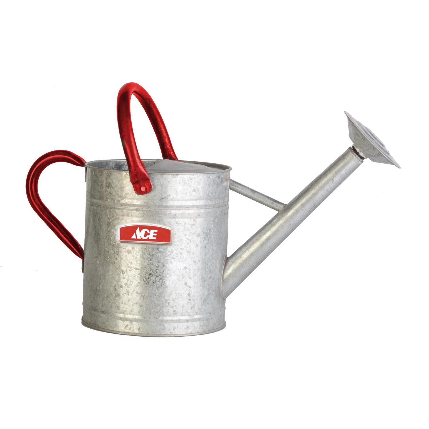 Ace Gray 2 gal Steel Watering Can Mfr# 84898 - Ace Hardware