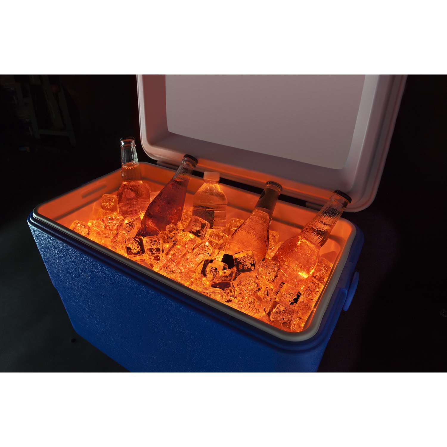 Brightz cooler lights LED Cooler Lights ABS Plastics/Electronics 1 pk ...