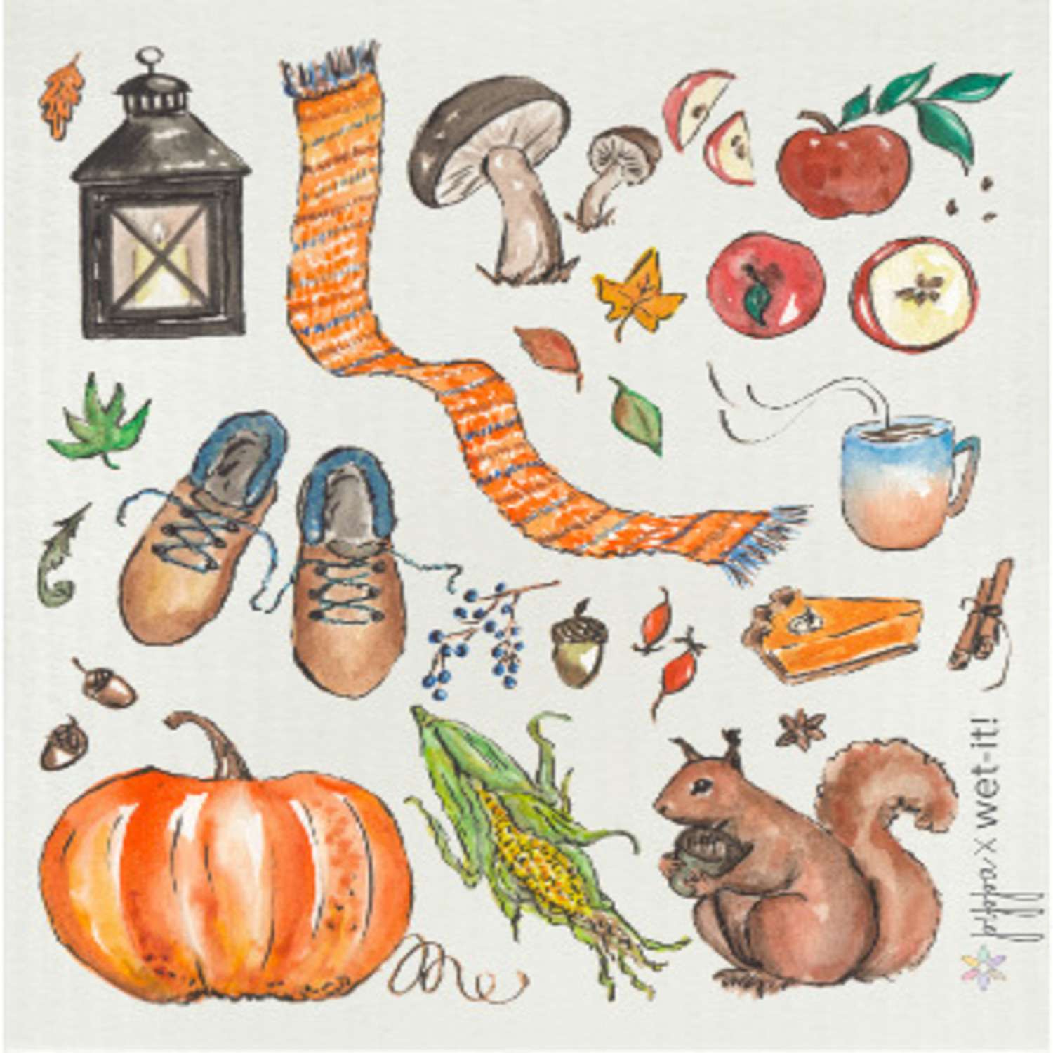 Swedish Treasures Pippa Collection Cotton Super Absorbent Cloths 1 pk ...