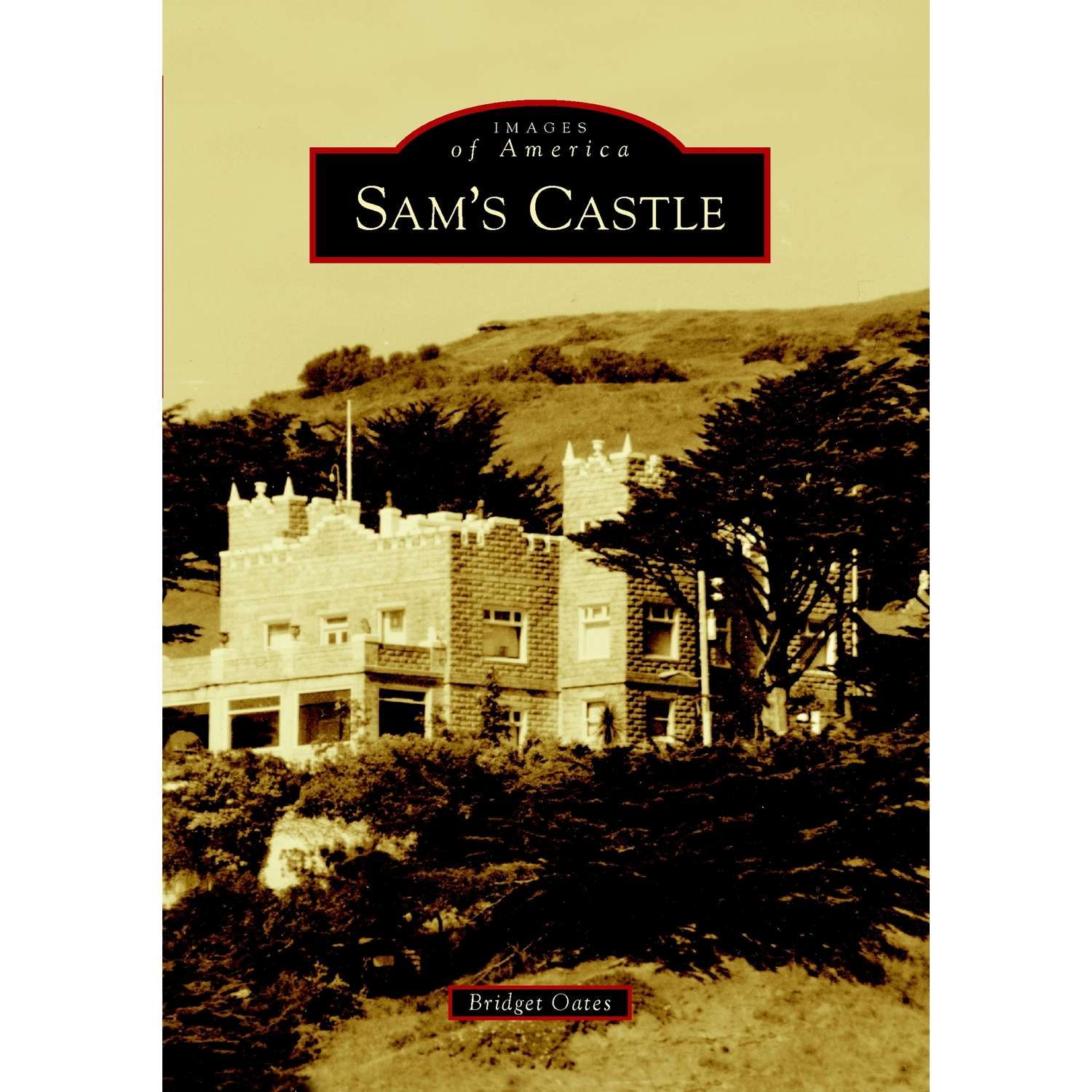 Arcadia Publishing Sam's Castle History Book Mfr# 9780738574868 - Ace ...
