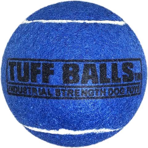 Petsport Tuff Balls Blue Polyster/Rubber Tennis Balls 2 pk - Ace Hardware