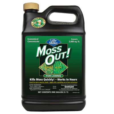 Lilly Miller Moss Out Moss Killer Concentrate 1 gal. - Ace Hardware