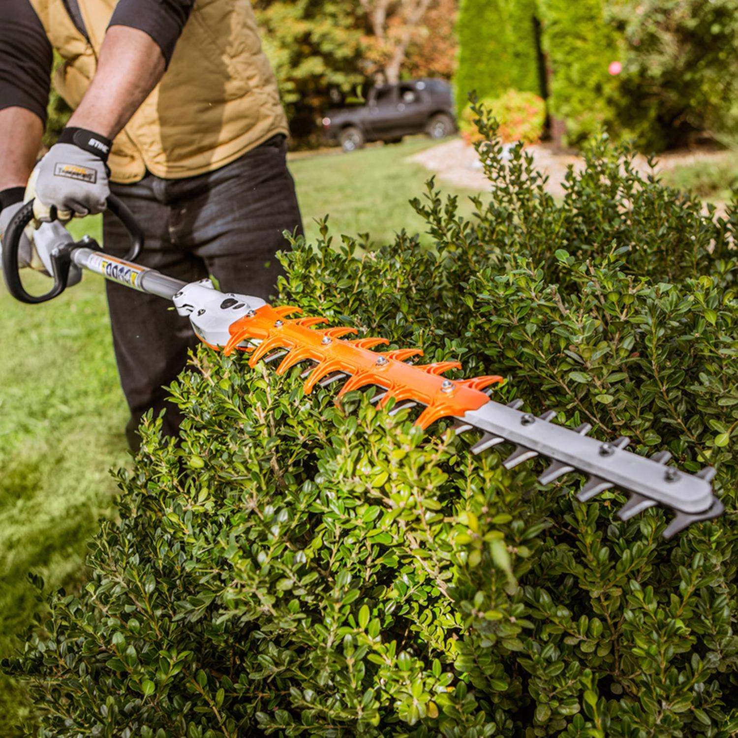 Ace stihl hedge trimmer store