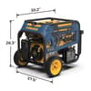Firman 8000 W Gas/NG/LP Portable Generator Mfr# T08072 - Ace Hardware