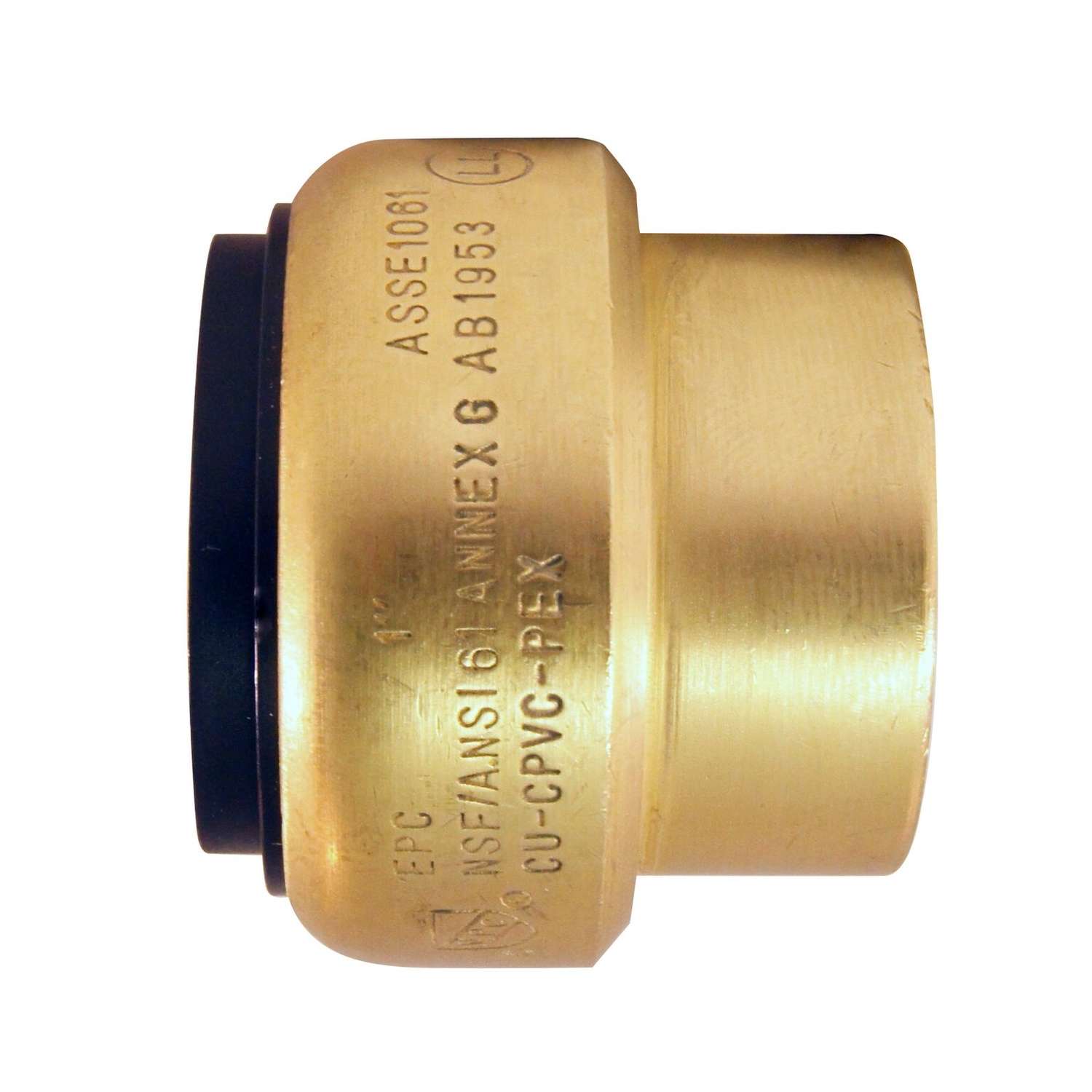 Apollo Tectite Push to Connect 1 in. PTC in to Brass Cap - Ace Hardware