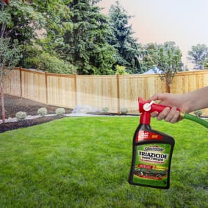 Spectracide Triazicide For Lawns Insect Killer 32 oz. - Ace Hardware