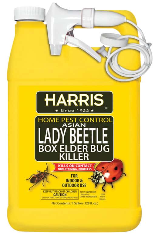 Harris Home Pest Control Liquid Insect Killer 1 gal. - Ace Hardware