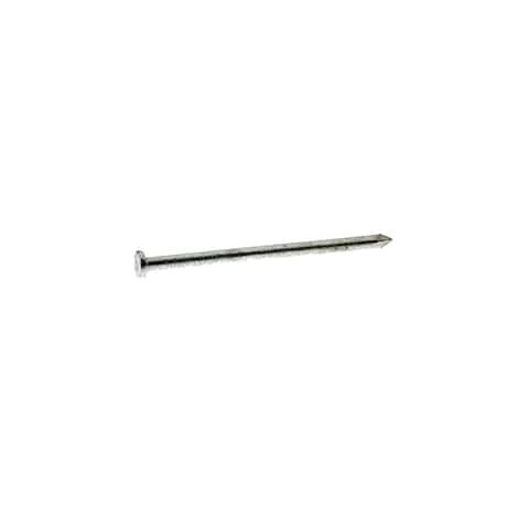 Grip-Rite 60D 6 in. Common Hot-Dipped Galvanized Steel Nail Flat Head 5 ...