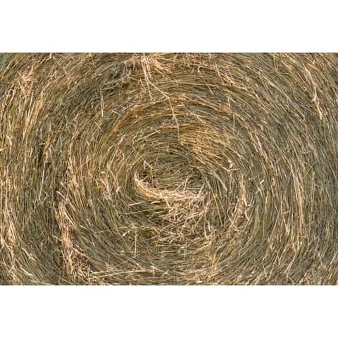 Locally Sourced Coastal Bermuda Hay Bale Mfr# LS00022 - Ace Hardware