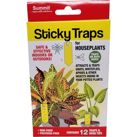 Summit Chemical Sticky Traps Sticky Trap 12 pc - Ace Hardware