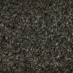 Bird Food - Ace Hardware