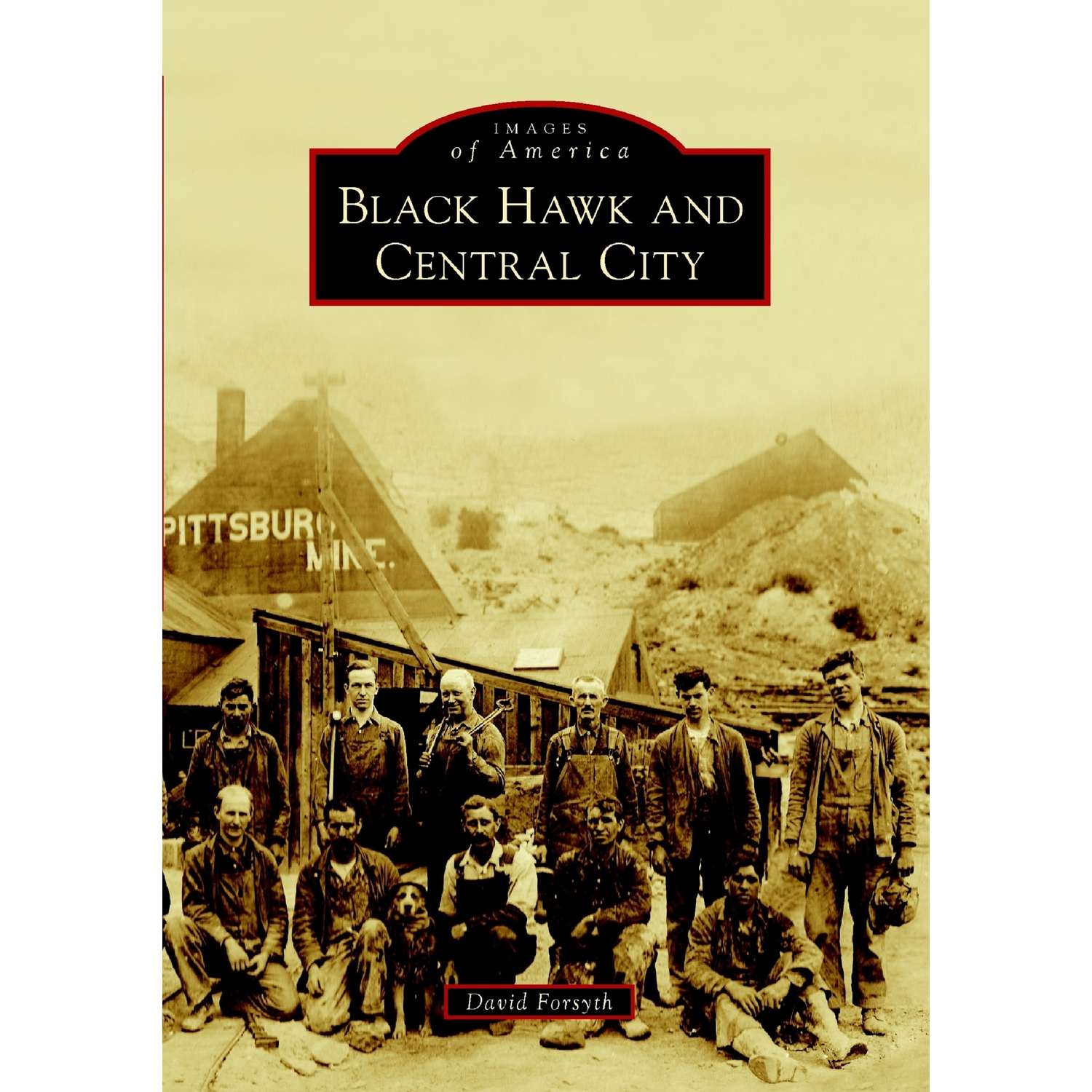 Arcadia Publishing Black Hawk and Central City History Book - Ace Hardware