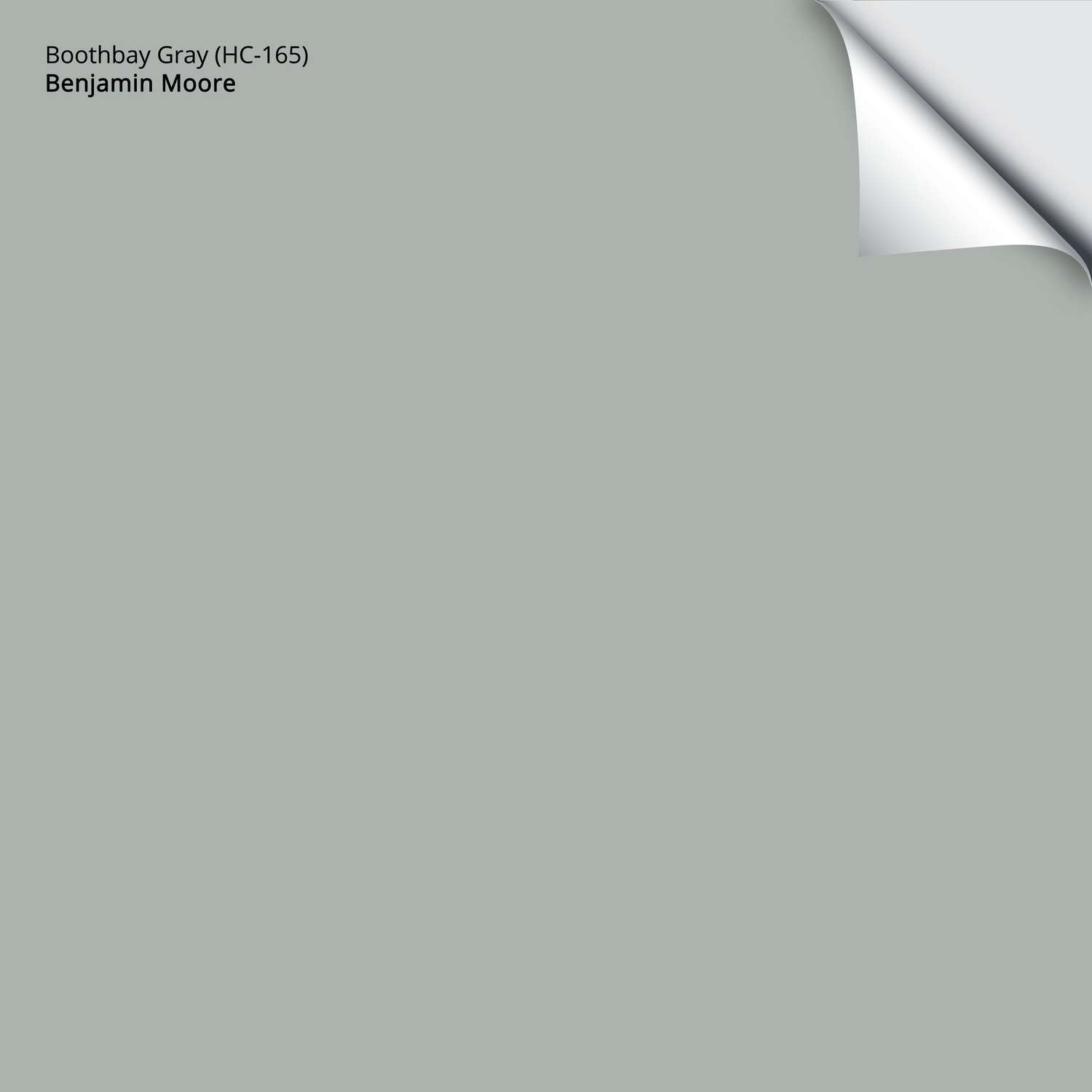 Benjamin Moore Boothbay Gray Peel & Stick Color Sample HC-165 - Ace ...