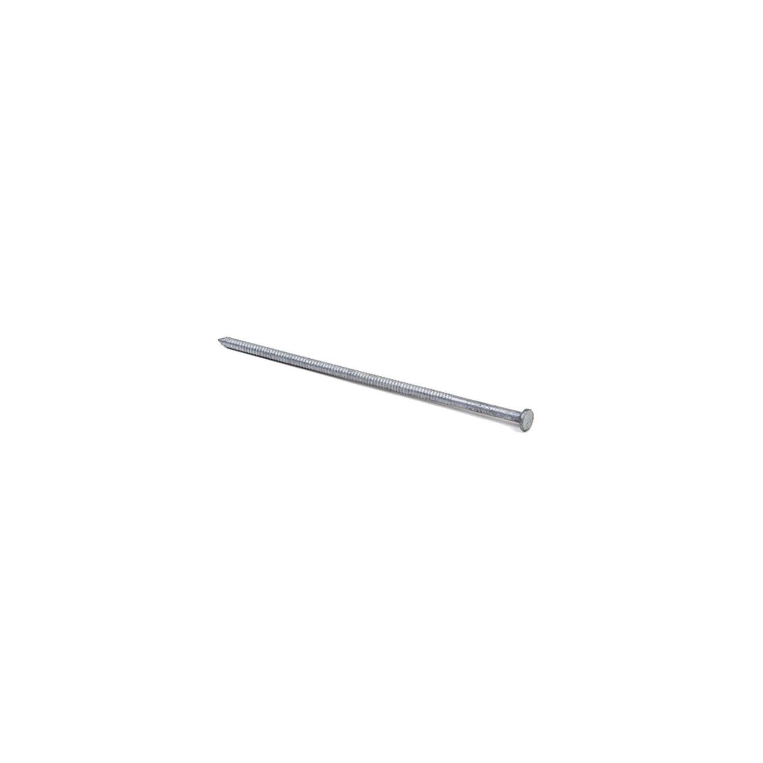 Grip-Rite 20D 4 in. Pole Barn Hot-Dipped Galvanized Steel Nail Flat ...