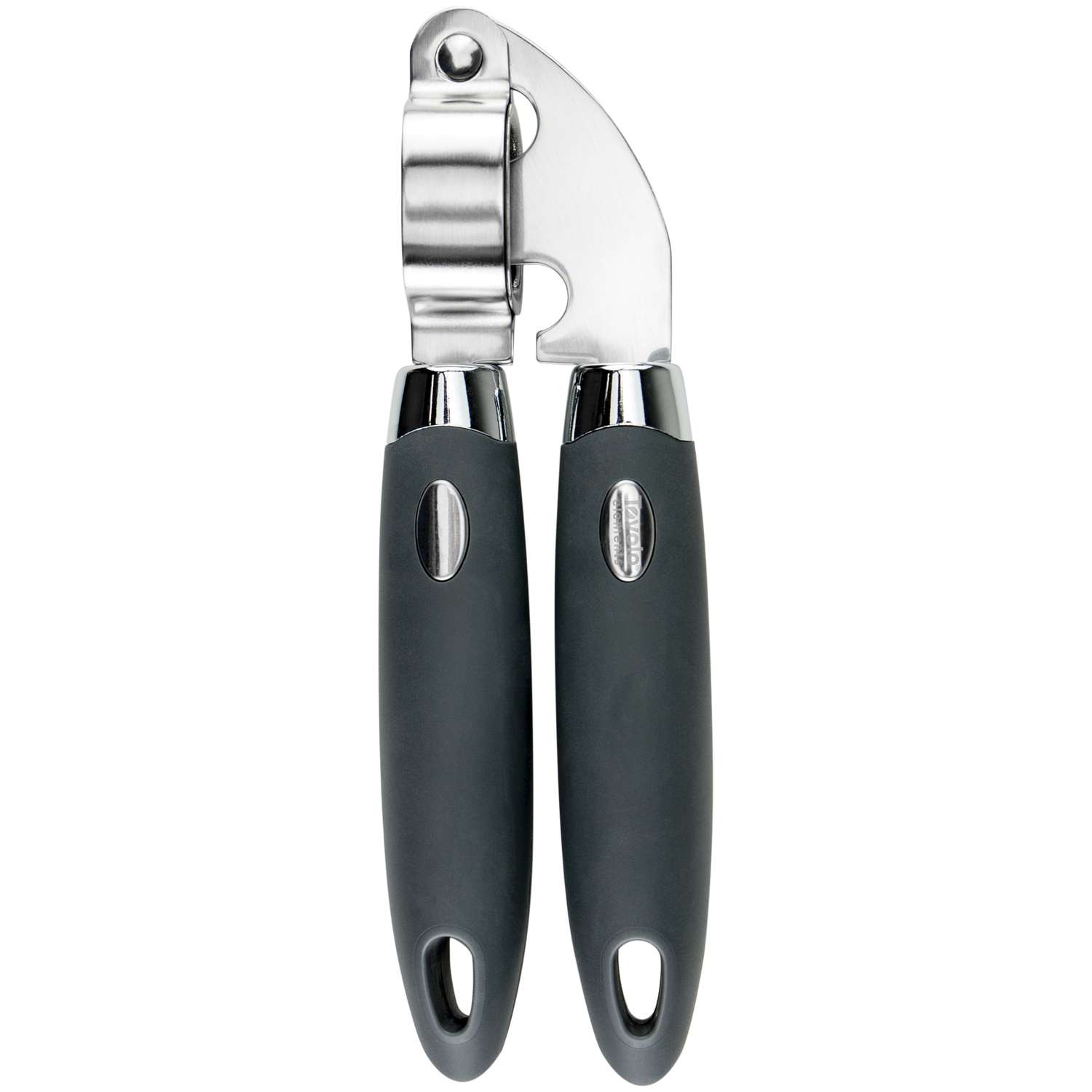 Tovolo Elements Black/Silver Plastic/Stainless Steel Garlic Press - Ace ...