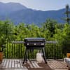 Traeger Flatrock 3-Burner Flat Top Gas Grill Mfr# TF3CN59AU - Ace Hardware