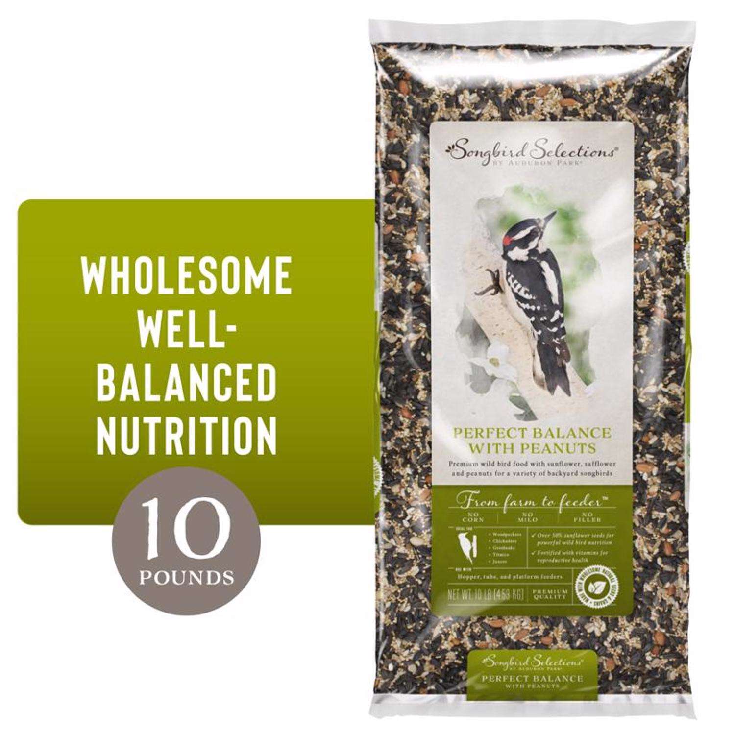 Songbird Selections Perfect Balance with Peanuts Wild Bird Seed Wild ...