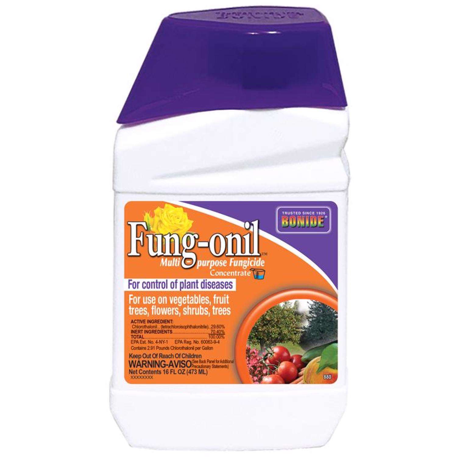 Bonide Fung-onil Concentrated Liquid Fungicide 16 oz - Ace Hardware