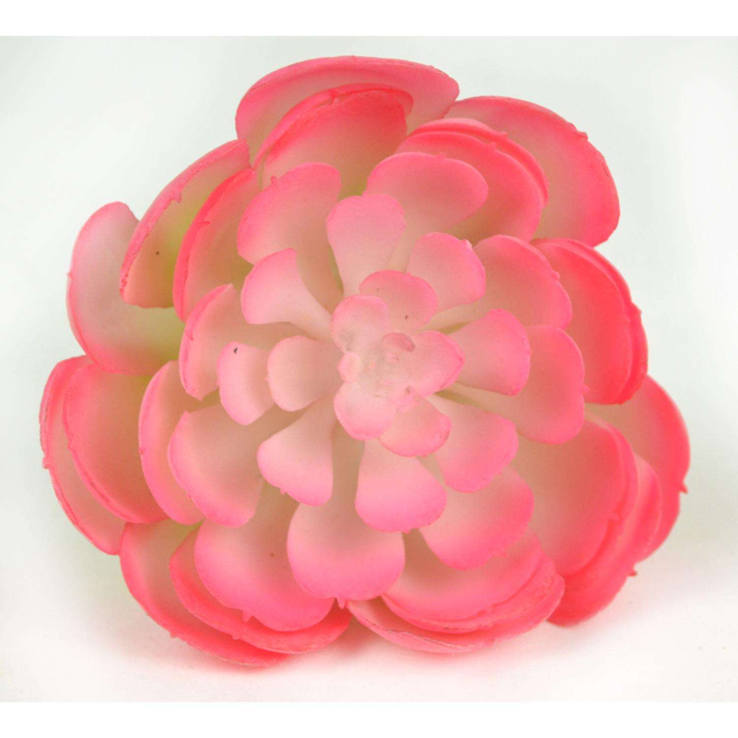 Touch of Nature 3.5 in. H X 2 M W X 2 in. L Pink Rubber Succulent on ...