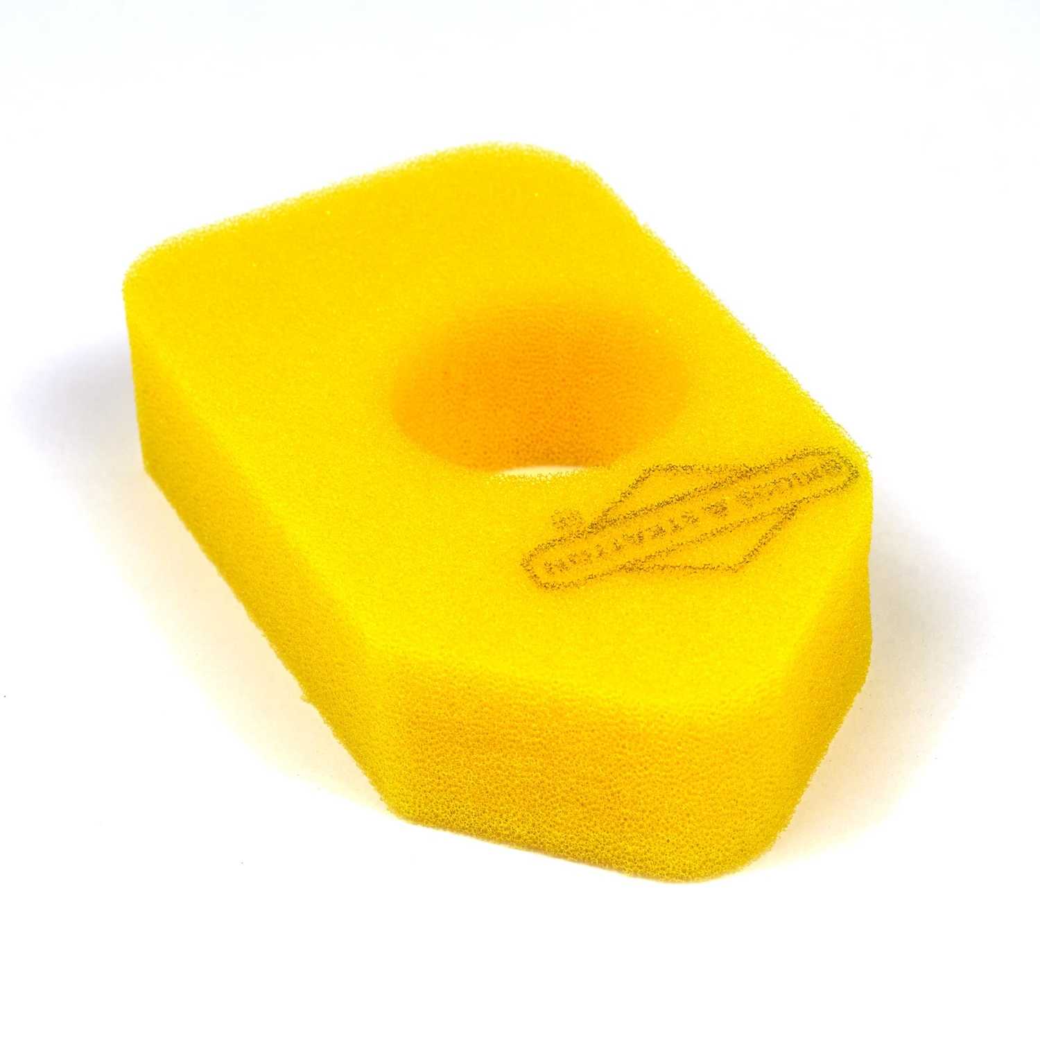 Briggs & Stratton Small Engine Air Filter - Ace Hardware